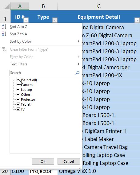How To Filter An Excel Spreadsheet Filter The Whole Worksheet Earn