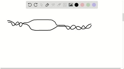 Solvedwhy Is Dna Gyrase Necessary For Replication