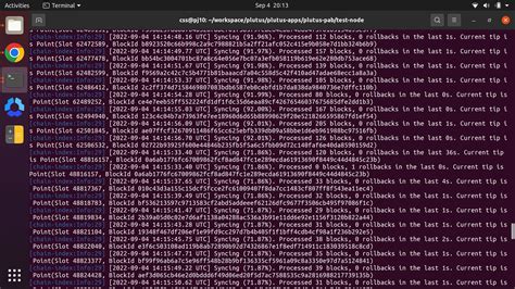 Cardano Pab Chain Index Issue Rcardano