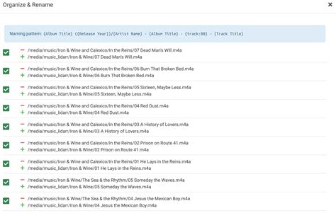 BUG Organize Rename Doesn T Follow Renaming Pattern Issue Lidarr Lidarr GitHub