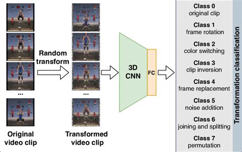 Overview Of Self Supervised Learning Via Multi Transformation Download Scientific Diagram
