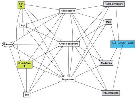 Exploring The Influence Of Social Class And Sex On Self Reported Health Insights From A