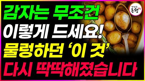 감자 꼭 이렇게 드세요 노년 근육 다시 짱짱해집니다 무릎통증 종아리쥐 다리쥐 무릎통증 싹 사라집니다 건강한동행tv