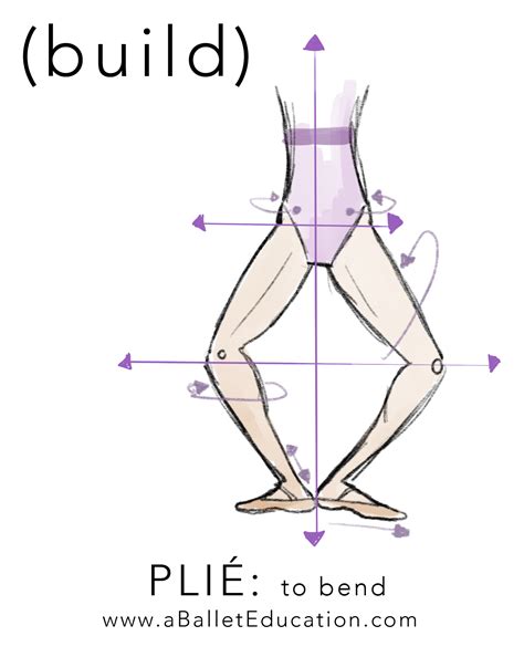 Como O Demi PliÉ Fortalece A Musculatura Das Pernas