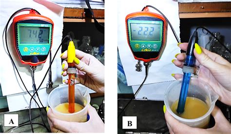Gmp Bioreactor For Environmentally Friendly Decomposition Of Organic
