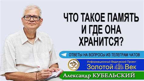 Что такое память и где она хранится? - YouTube