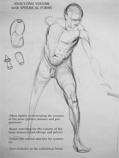 Volume Spheres And Cylinders Drawing The Life Force Anatomy Sketches Life Drawing Classes