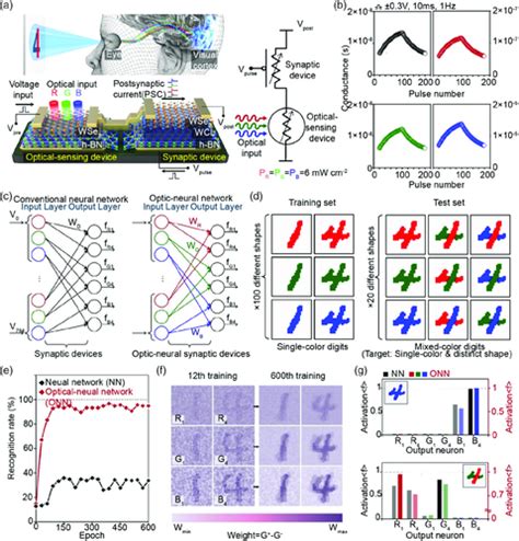 Recent Progress In Optoelectronic Synapses For Artificial Visual‐perception System Han 2020
