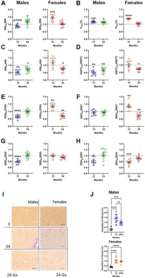 Biological Sex Sex Steroids And Sex Chromosomes Contribute To Mouse Cardiac Aging Figure F3