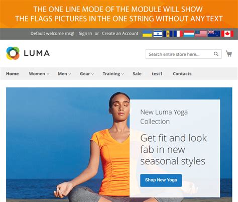 Magento 2 Easy Flags Extension 79 Free Installation