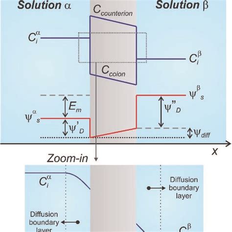 Schematic Representation Describing The Concentration C And