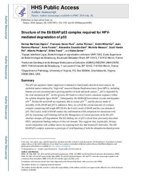 Pdf Structure Of The E6 E6ap P53 Complex Required For Hpv Mediated Degradation Of P53