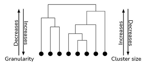 Hierarchical Clustering Explained By Prasad Pai Towards Data Science