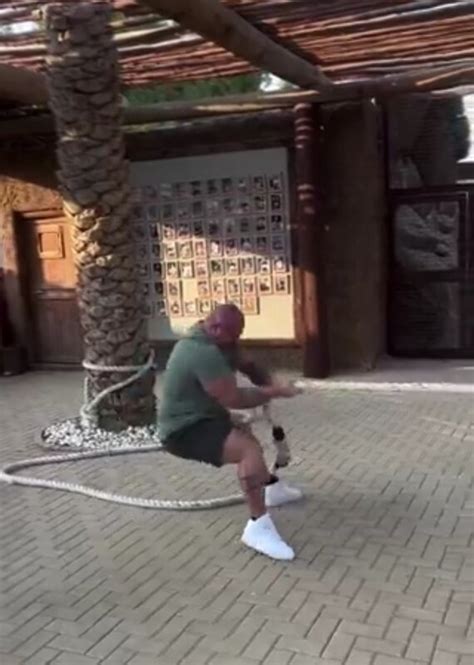 بالاترین برای اینکه درک درست‌تری از قدرت شیر و ببر داشته باشید این