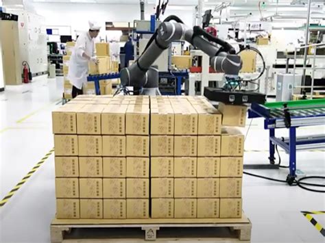 8 Questions To Ask When Choosing A Robotic Palletizer Jhfoster