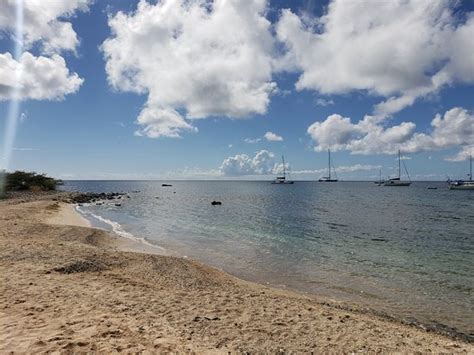 White House Bay Basseterre Aktuelle 2021 Lohnt Es Sich Mit Fotos