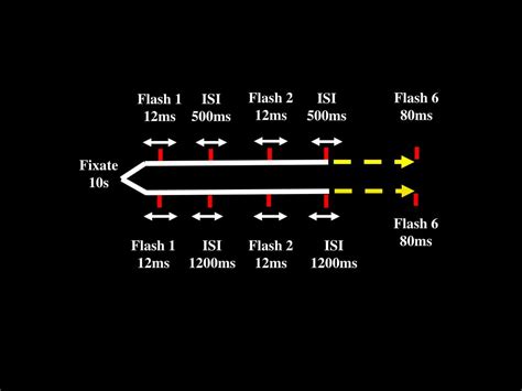 Ppt Electroencephalogram Eeg And Event Related Potentials Erp