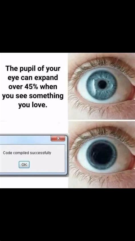 Αbhay Front End Developer Git Command Cheat Sheetwebuniverse02 Git Gitcommand Github