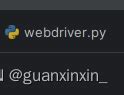 Selenium Webdriver Selenium Common Exceptions Webdriverexception Message