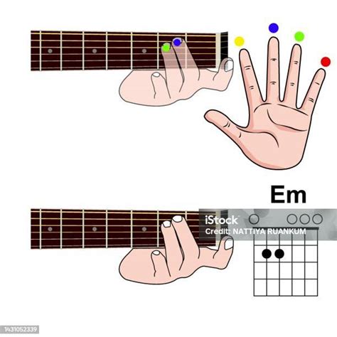 기타 코드 기본 및 기타 코드 벡터에 대한 손 위치 프리스타일 코드 기타 연주자에 대한 스톡 벡터 아트 및 기타 이미지 기타