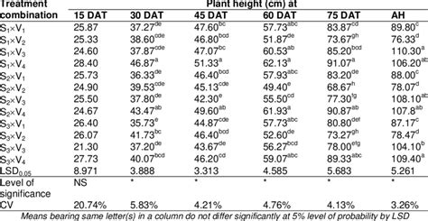 Interaction Effect Of Seedling Number Variety On Plant Height At