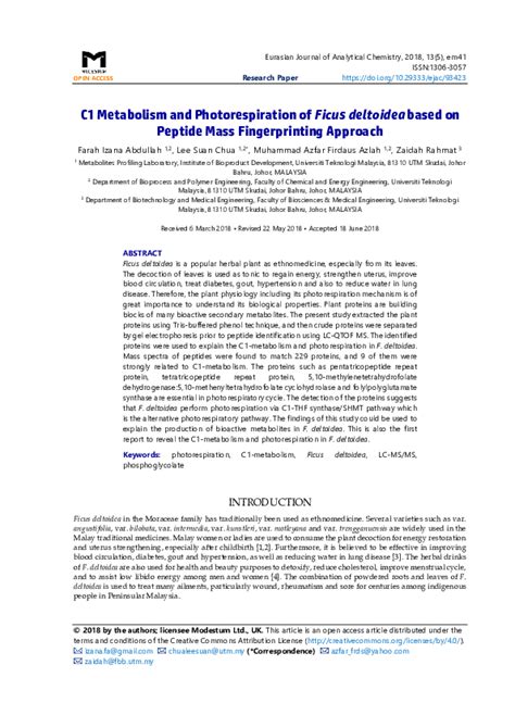 Pdf C1 Metabolism And Photorespiration Of Ficus Deltoidea Based On