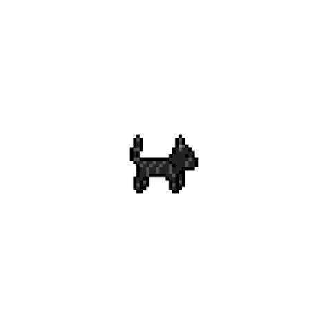 Cat Walking 