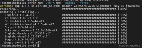 Nginx离线安装nginx1240离线安装依赖问题 Csdn博客