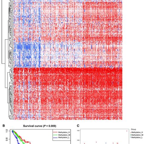 Identification Of Three Methylation Clusters Of Cc With Distinct Download Scientific Diagram