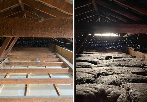 Insulation Installation Install Ecowool Batts