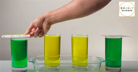 Diffusion Experiment