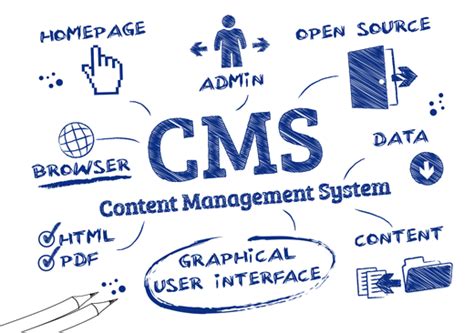 CMS Website Development And Designing Solutions And Services Company In Delhi Ncr India