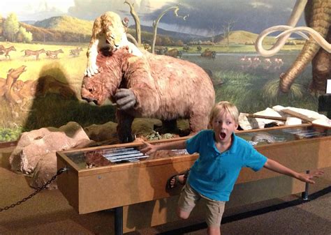 Discovering Ice Age Fossils At La Brea Tar Pits Eva Varga