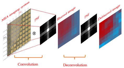 Sketch Illustrating The Blurring In The Impedance Camera As Convolution Download Scientific