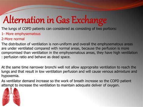 Pathophysiology Of Copd Pptx