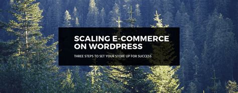 How To Build A Scalable E Commerce Store With Wordpress In 3 Steps Pagely®