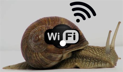 What Is Wireless Interference And What Actually Creates Interference Saturation Wireless