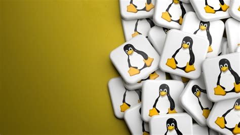 Linux Kernel Is Weak Several Vulnerabilities Allow Denial Of Service