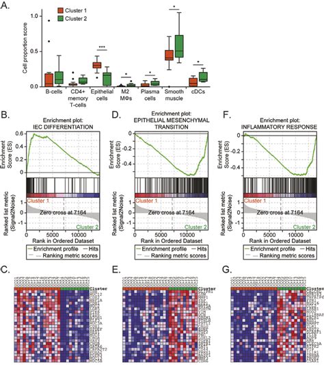 The Cell Composition And Molecular Signatures Of Uc Subsets Are
