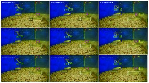 the results of tracking algorithms for 3 consecutive frames are shown