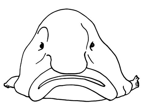 Blobfish Coloring Fish Pages Blob Easy Printable Template Ultracoloringpages Draw Sketch