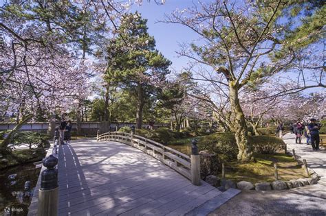 Kanazawa City Nomura Samurai Residence And Kenroku En Half Day Tour