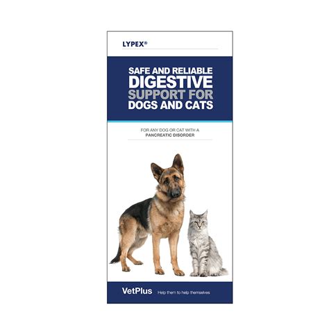 Lypex® Client Leaflet Vetplus
