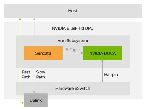 Accelerating The Suricata Idsips With Nvidia Bluefield Dpus Nvidia