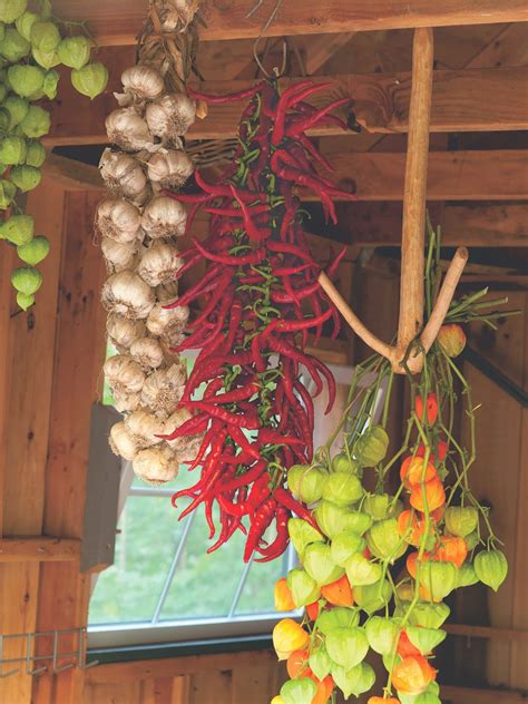 My Twig And Twine Nest March 2014