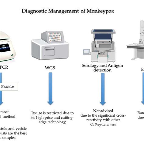 General Lines For Diagnosis Of Monkeypox Download Scientific Diagram