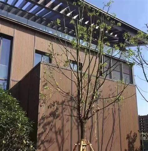 on trend style of composite wood cladding for your next project