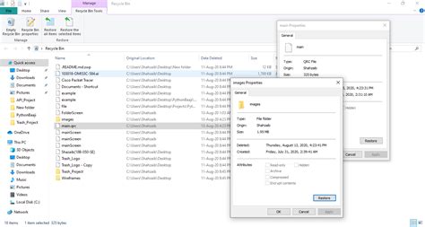 如何在python中访问回收站 Csdn博客