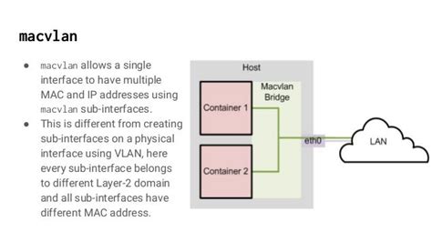 macvlan and ipvlan